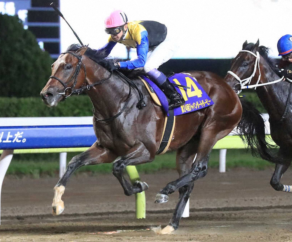 【帝王賞】選定馬16頭発表 JRAは武豊騎乗ノットゥルノ、3連覇が懸かるメイショハリオなど7頭 - ライブドアニュース