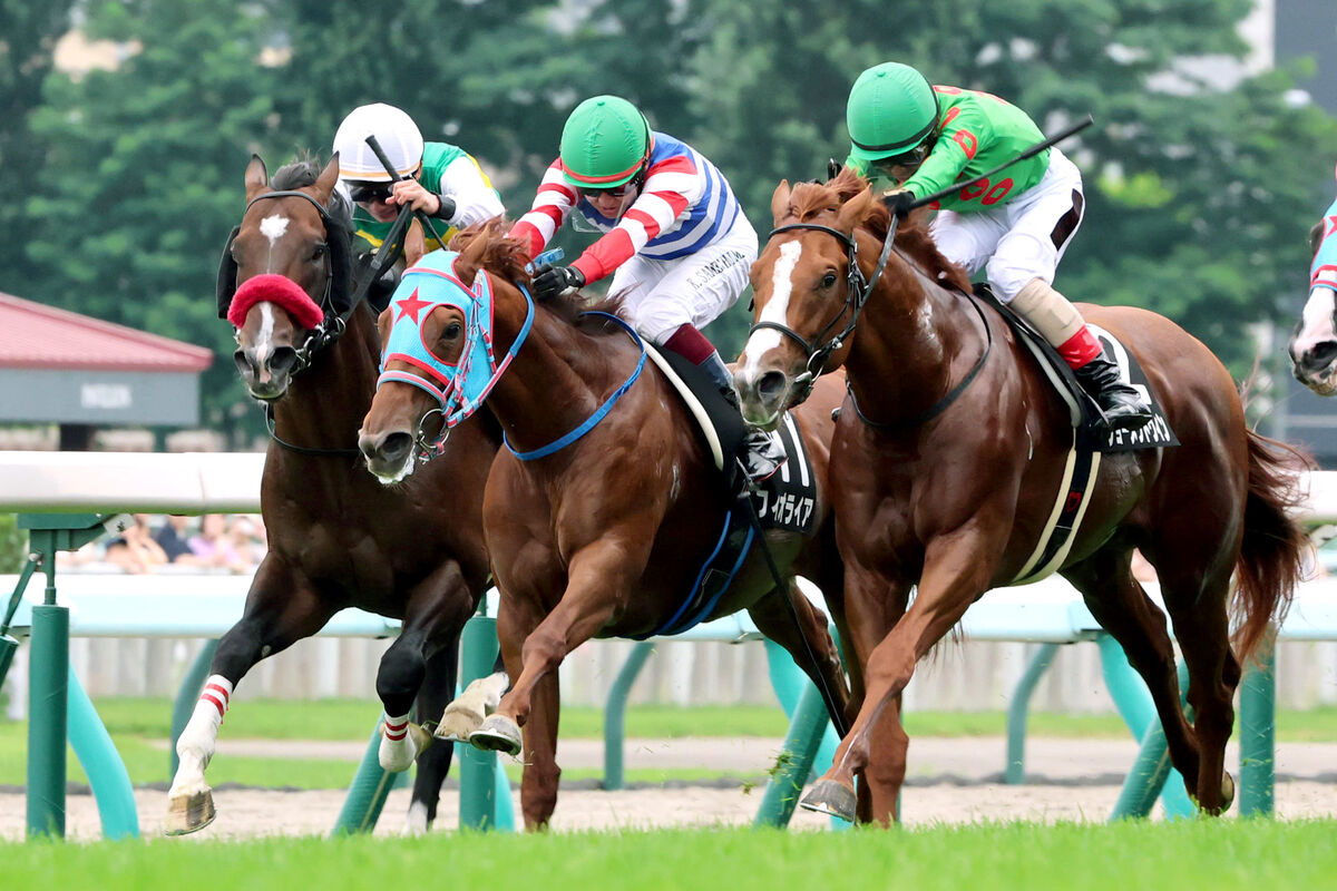 【札幌11R・UHB賞】2着馬との差は2センチ！ フィオライアが激戦制した 鮫島克駿騎手「全く分からなかった」 - ライブドアニュース