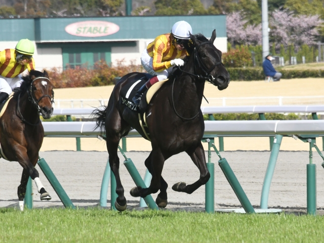 【JRA・WIN5】1番人気が3勝し的中6821票、配当7万2230円 - ライブドアニュース