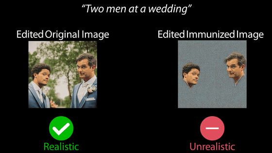 画像に「目に見えない改変」を加えてAIによる画像加工を防ぐ「PhotoGuard」が開発される (2022年11月15日掲載) - ライブドアニュース