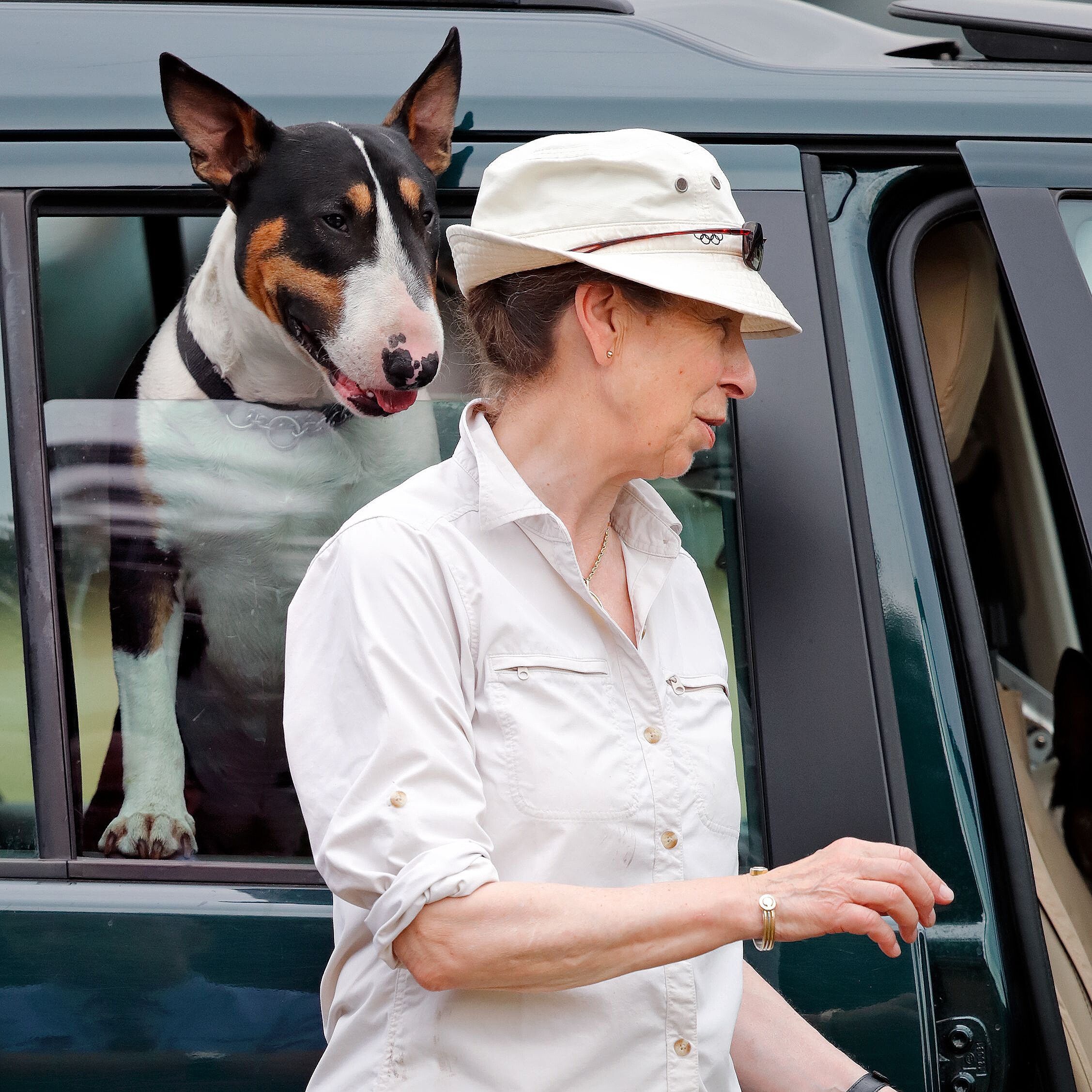 アン王女の愛犬、猟場番人の犬を襲う クリスマス恒例の狩猟で惨事 (2023年1月20日掲載) - Peachy - ライブドアニュース