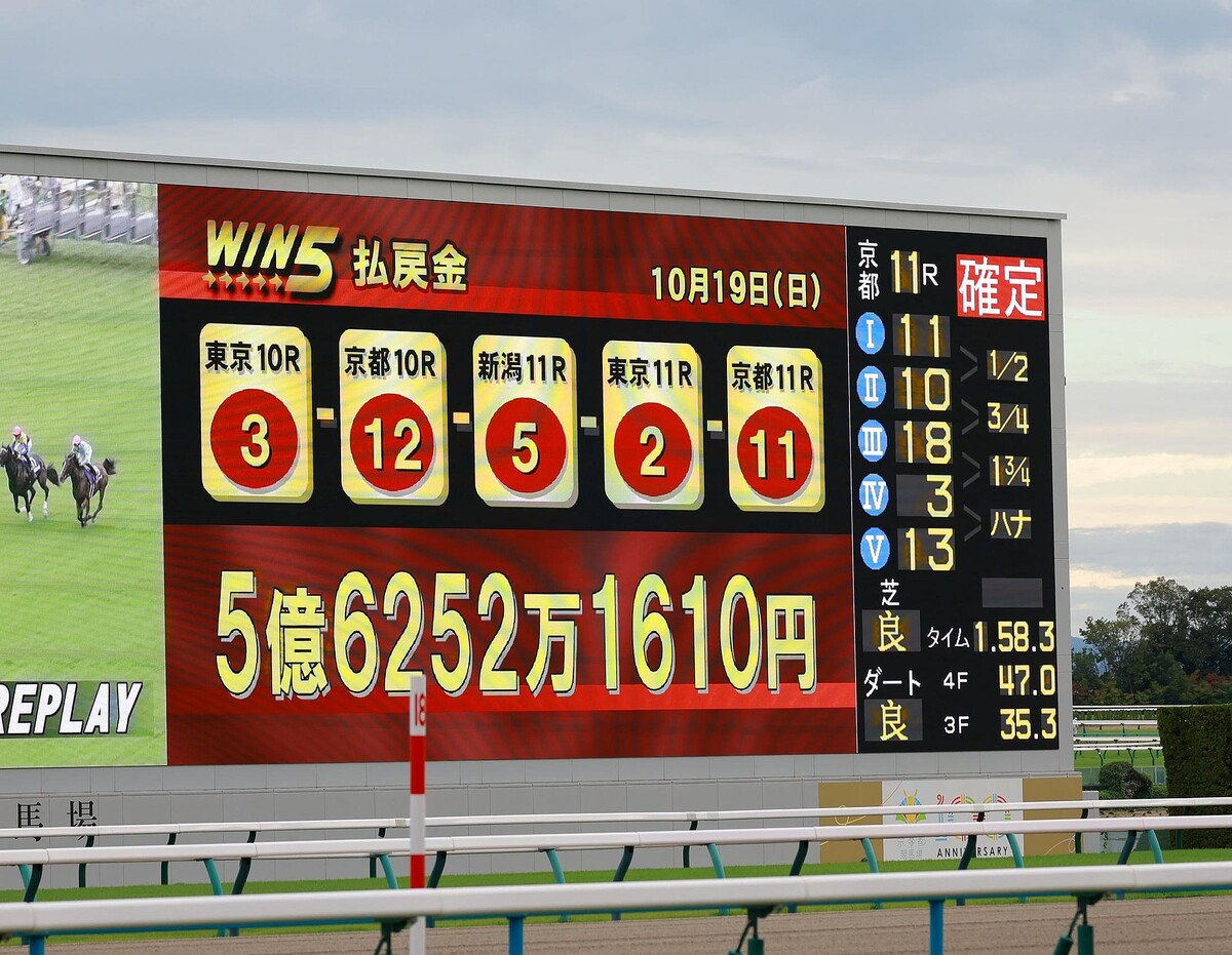【競馬】JRAのWIN5で5億6252万1610円、歴代1位の高額配当 的中1票出た！ 驚がくの高配当にネット騒然！ : ねことダンボール