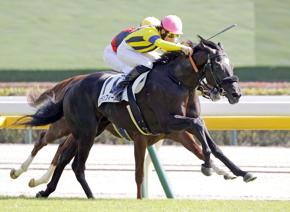【東京5R・2歳新馬】ルカランフィーストが競り勝って初陣V 松山弘平騎手はJRA通算1100勝を達成 (2023年10月14日掲載) - ライブドアニュース