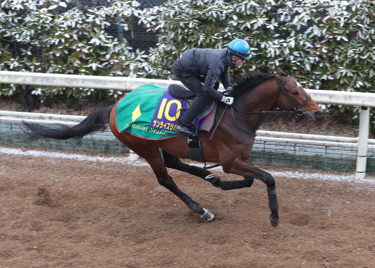 【フェブラリーS】サンライズジパング 行きっぷり問題なし！音無師「むしろ千六の方がいい」 - ライブドアニュース