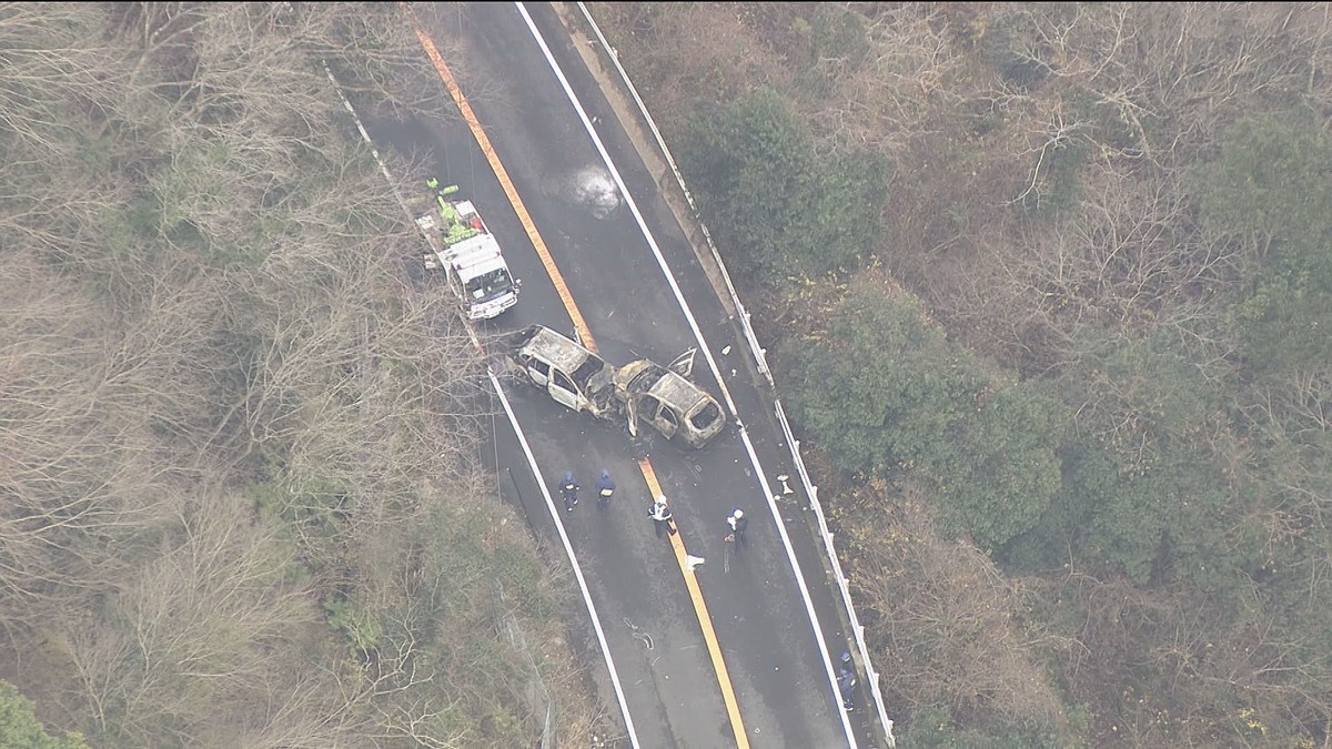 Programa de campo grande ms transvestite