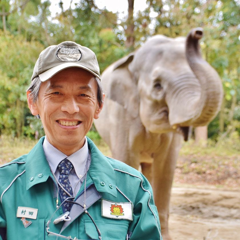 いのちのつながりを伝える！よこはま動物園ズーラシア「村田園長のとっておき写真展 with wizoo『The Africa』」 (2025年10月3日掲載) - ライブドアニュース