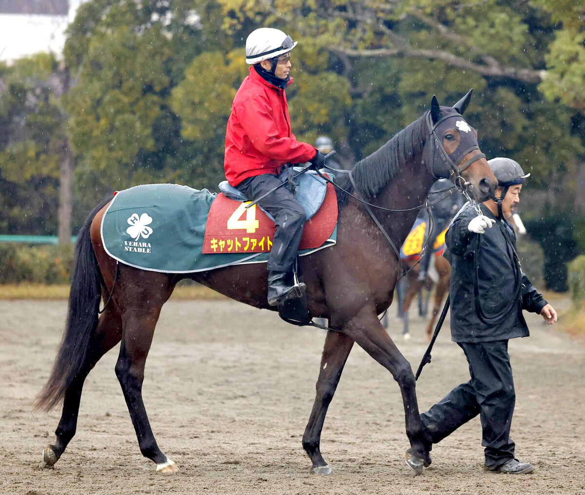 【10日のゴゴイチ・11R阪神JF】一瞬の切れ味が求められる馬場 好枠を生かせるキャットファイトが魅力 (2023年12月10日掲載) - ライブドアニュース