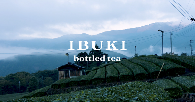 【画像】ボトリングティーブランド『IBUKI bottled tea』から、2025年の採れたて新茶のみを使用した数量限定の商品の予約受付開始。 5/9 - ライブドアニュース