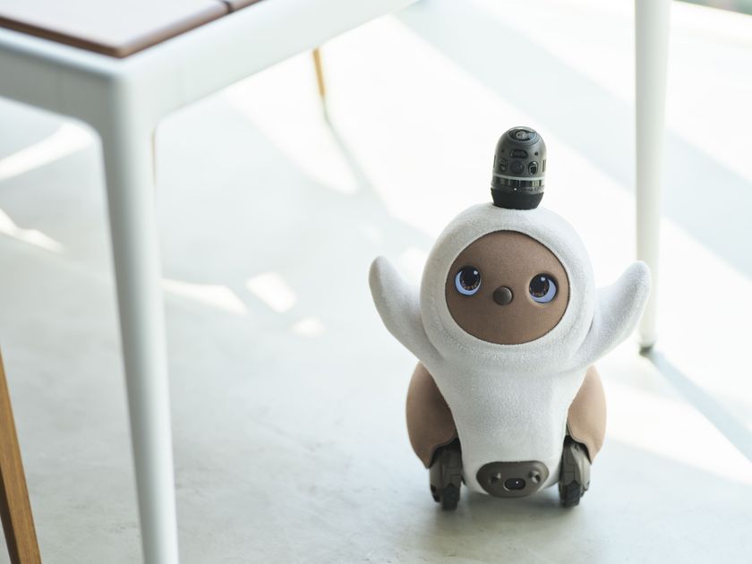 【画像】バンダイナムコ Cross Storeなどオープン！mozo ワンダーシティ「第二弾リニューアル」 18/19 - ライブドアニュース