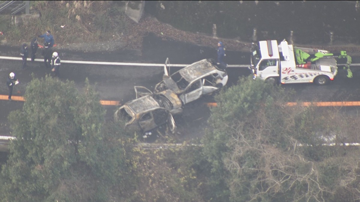 Programa de campo grande ms transvestite