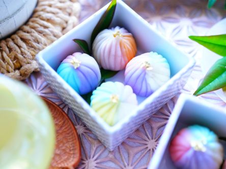 【画像】華やかキュート！手まり練りきりで迎えるお正月【kyoko_plusのレシピ＆テーブルコーデvol.51】 2/8 - ライブドアニュース