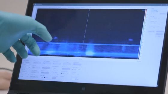 「ネズミの鳴き声の意味」を機械学習で解読するシステム「DeepSqueak」が開発中、マウス実験で活用される見込み - ライブドアニュース