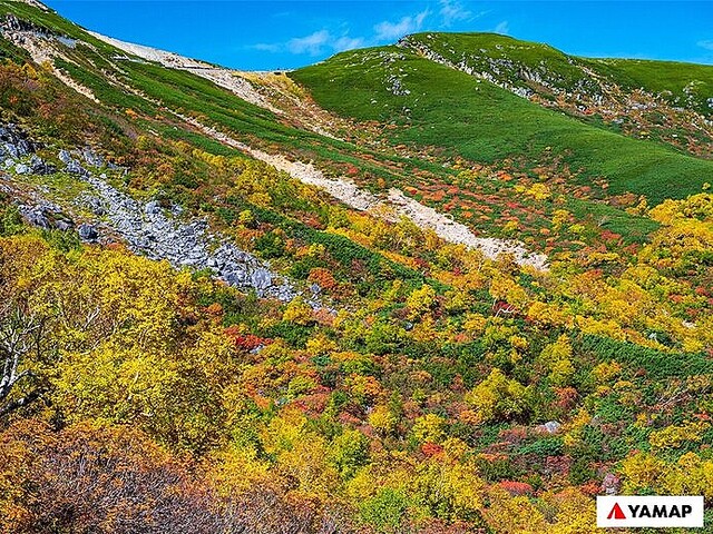 【tenki.jp×YAMAP】紅葉時期におすすめ 東海地方の人気登山コース5選 - ライブドアニュース