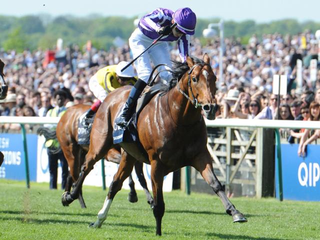 サクソンウォリアー産駒がJRA初勝利 中京5Rで2億円馬アドマイヤイルがV - ライブドアニュース