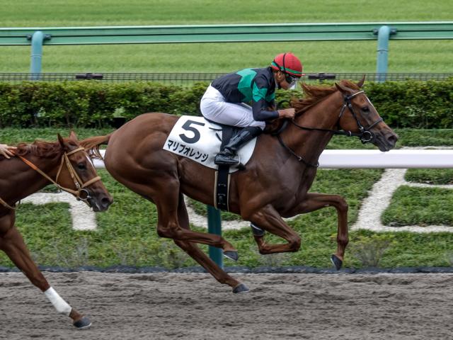 【東京3R新馬戦結果】マリブオレンジが抜け出しV ヴェコマ産駒のJRA初勝利 - ライブドアニュース