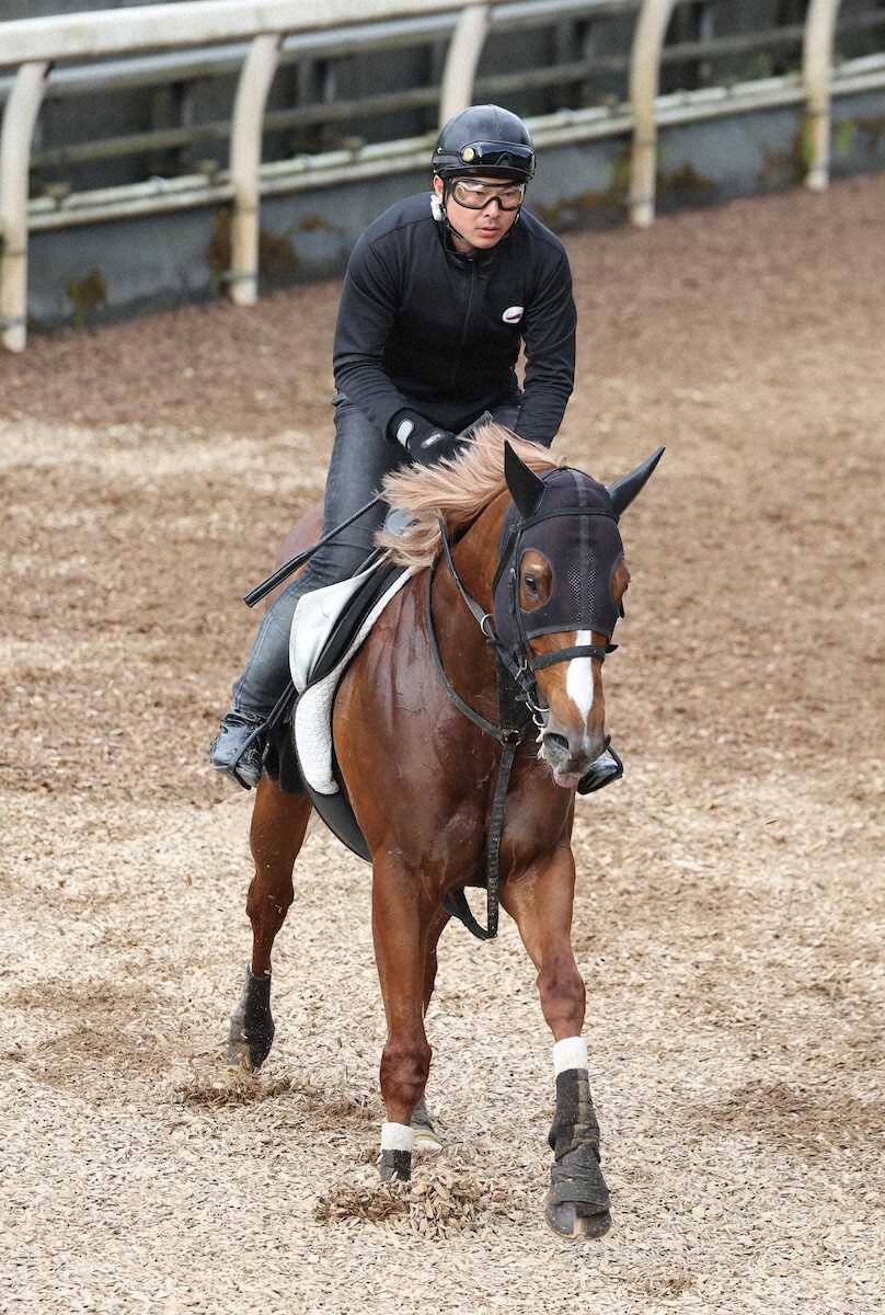 【盛岡11R クラスターC】サンライズアムール 逃げ切って重賞初V “代打”高松亮お見事好騎乗 - ライブドアニュース