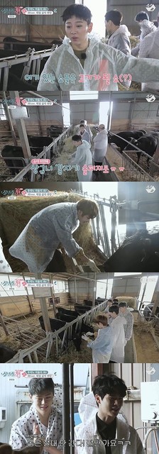 JBJ、日本の牧場で乳搾りに挑戦！キム・サンギュンのセンスあるギャグにも注目(動画あり) (2017年10月22日掲載) - ライブドアニュース