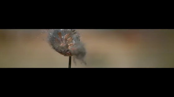 【画像】弾丸を弾丸に命中させる瞬間を87万5000fpsの超スローモーションで撮影した動画 45/52 - ライブドアニュース