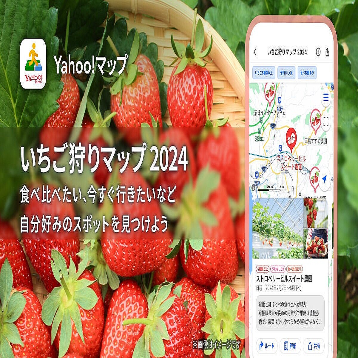 【いちご狩り】Yahoo!マップ、全国約400カ所のスポットが確認できる「いちご狩りマップ2024」の提供を開始 (2024年2月16日掲載) - ライブドアニュース