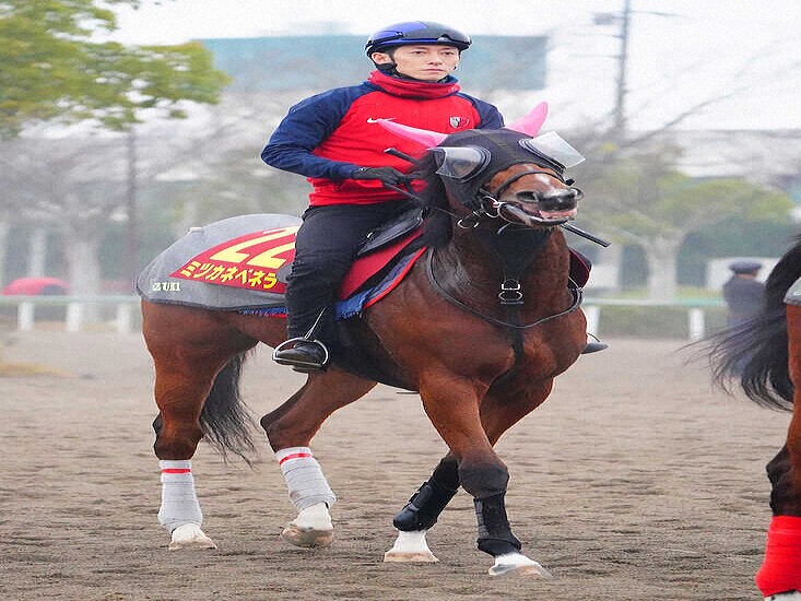 【阪神JF】（3）ミツカネベネラ 最後は進路外へ (2025年12月13日掲載) - ライブドアニュース